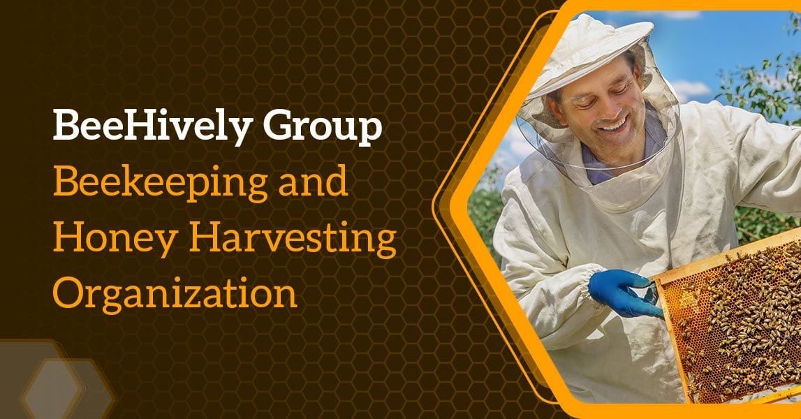 Beekeeping | Wholesale honey | Beekeeping tools | Beehively