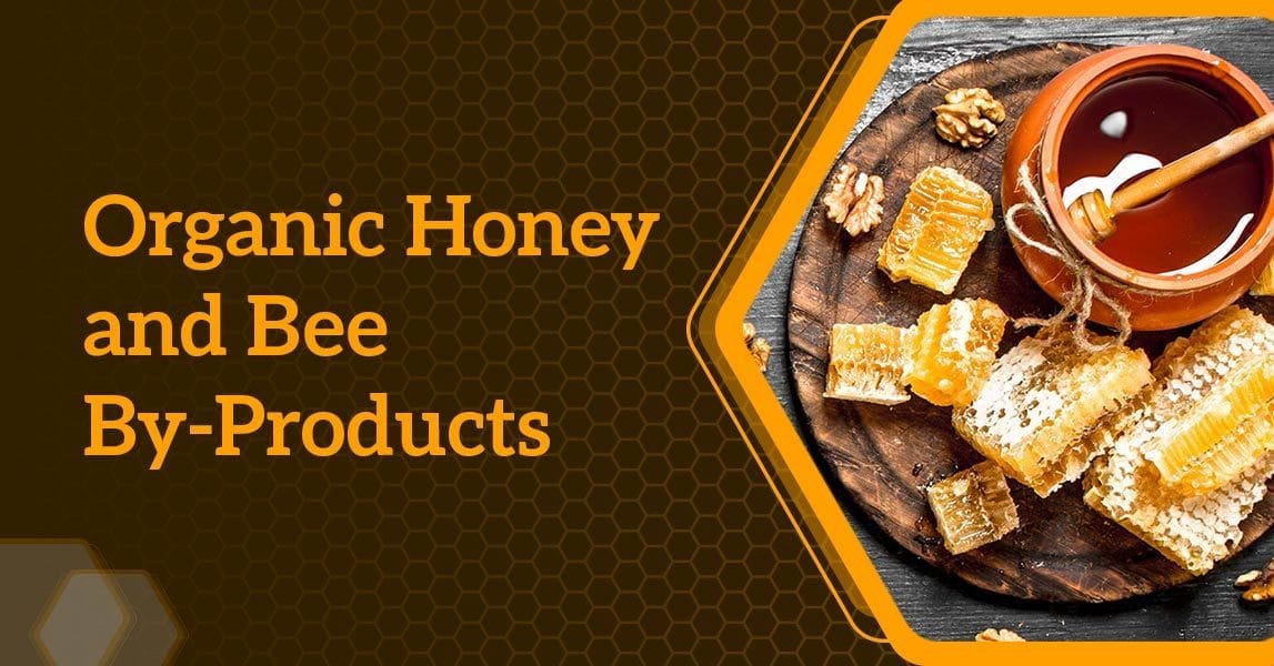Beekeeping equipments | Bulk honey | Bee byproducts | Beehively